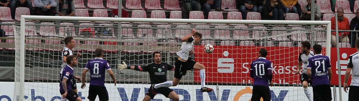 Veilchen senden deutliches Lebenszeichen